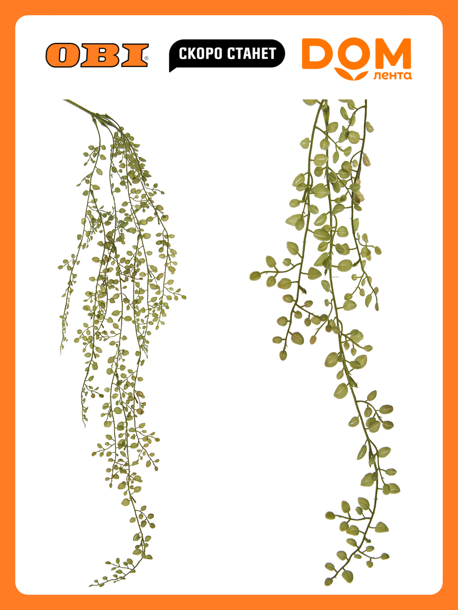 Растение искусственное ампельное Пеллея h110 см