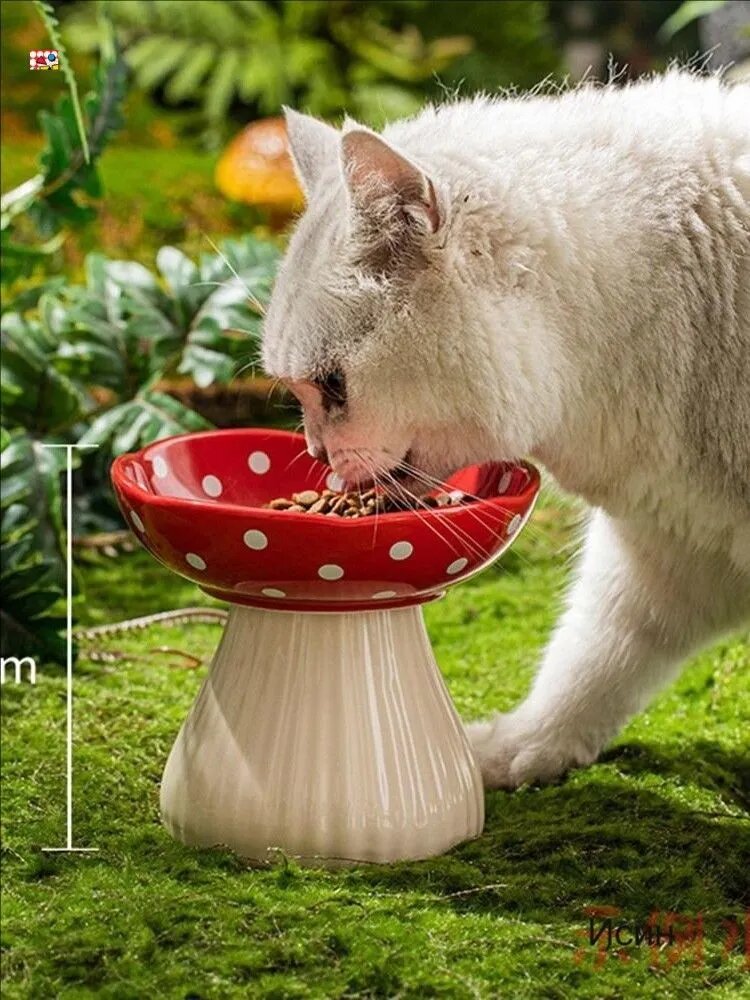 Миска для животных