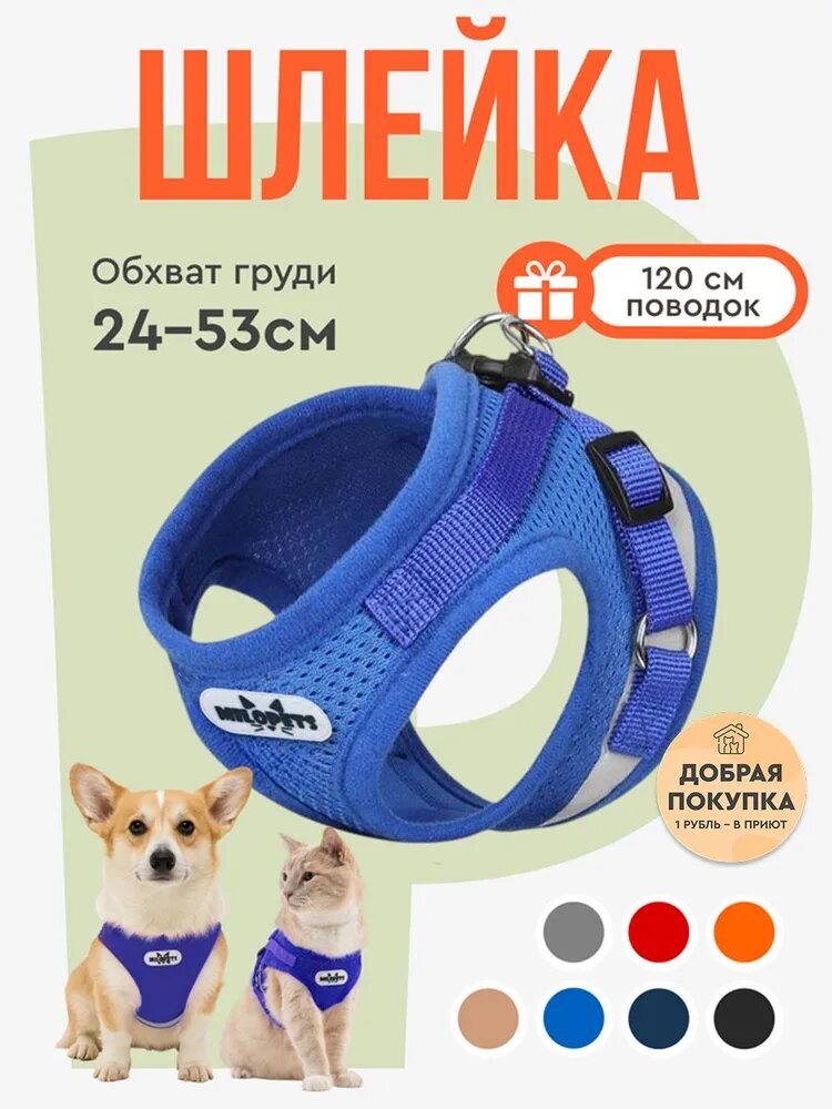 Шлейка для собак мелких пород и кошек MiloPets, с поводком, цвет черный