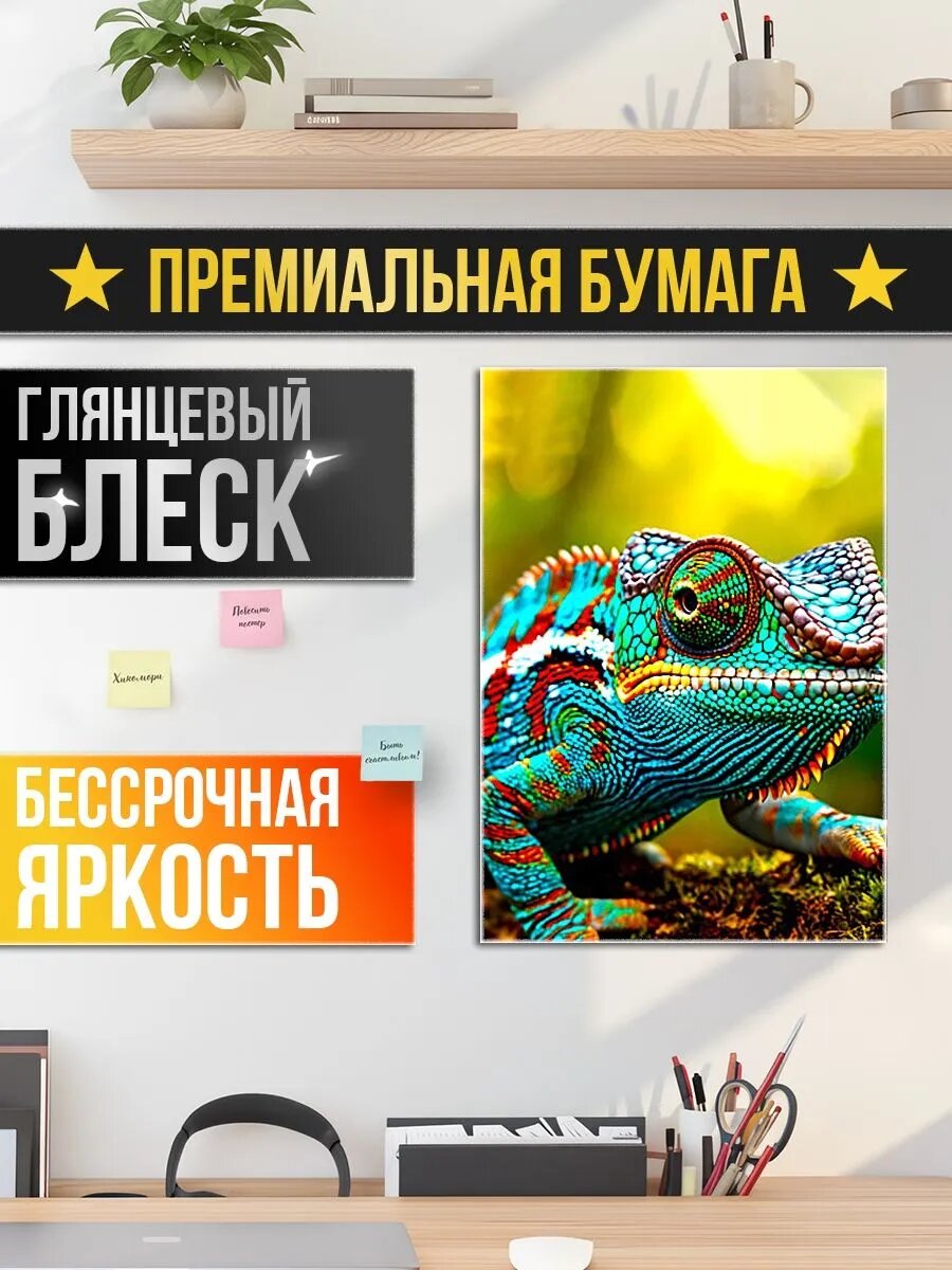 Постер на стену Хамелеон — фото 1