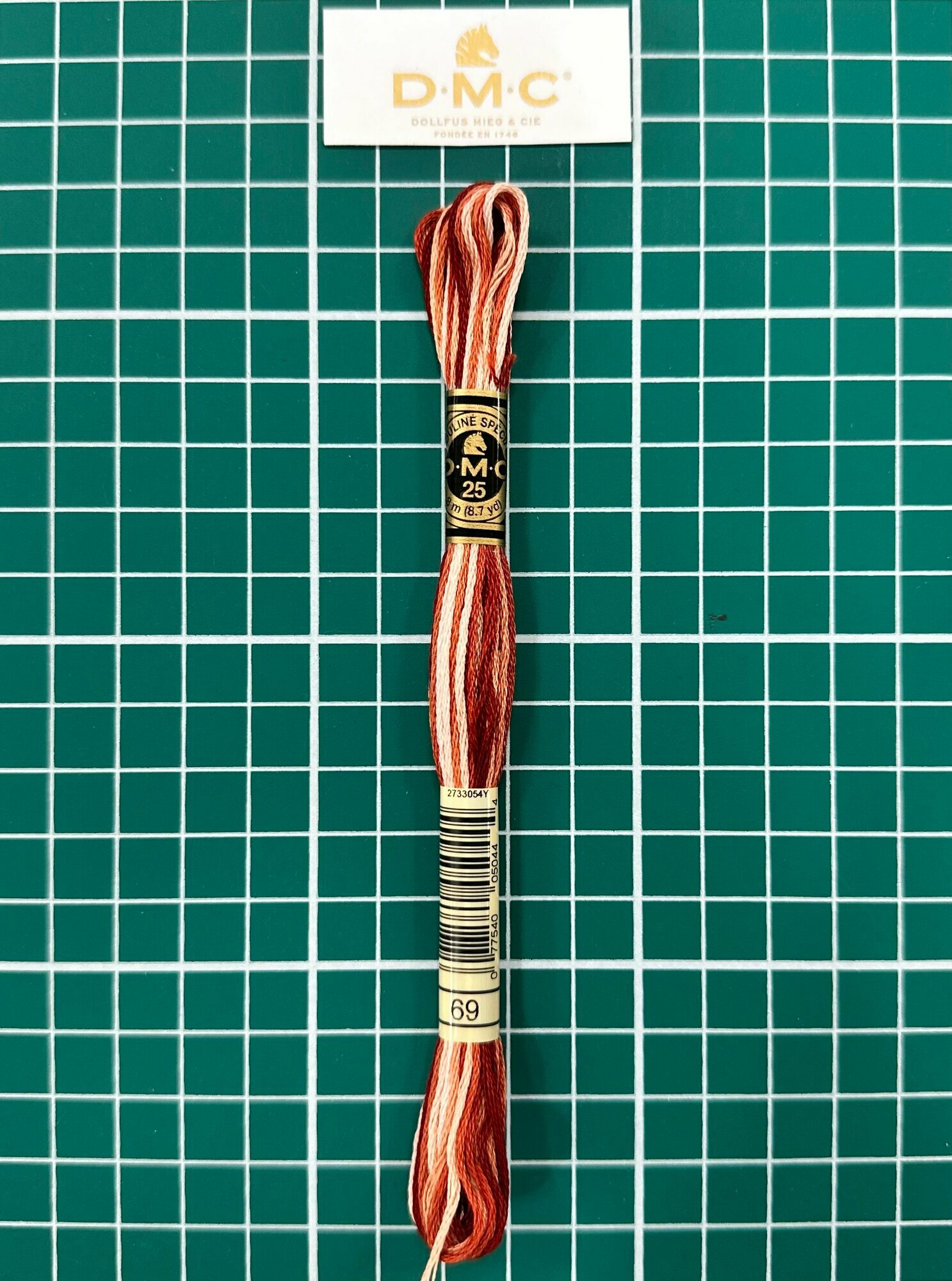 DMC Color Variation (Меланж), col: 69, Мулине