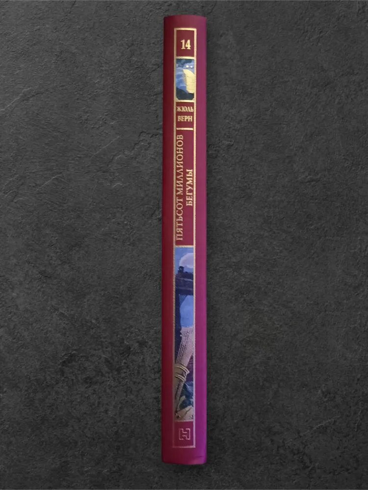 Пятьсот миллионов бегумы №14