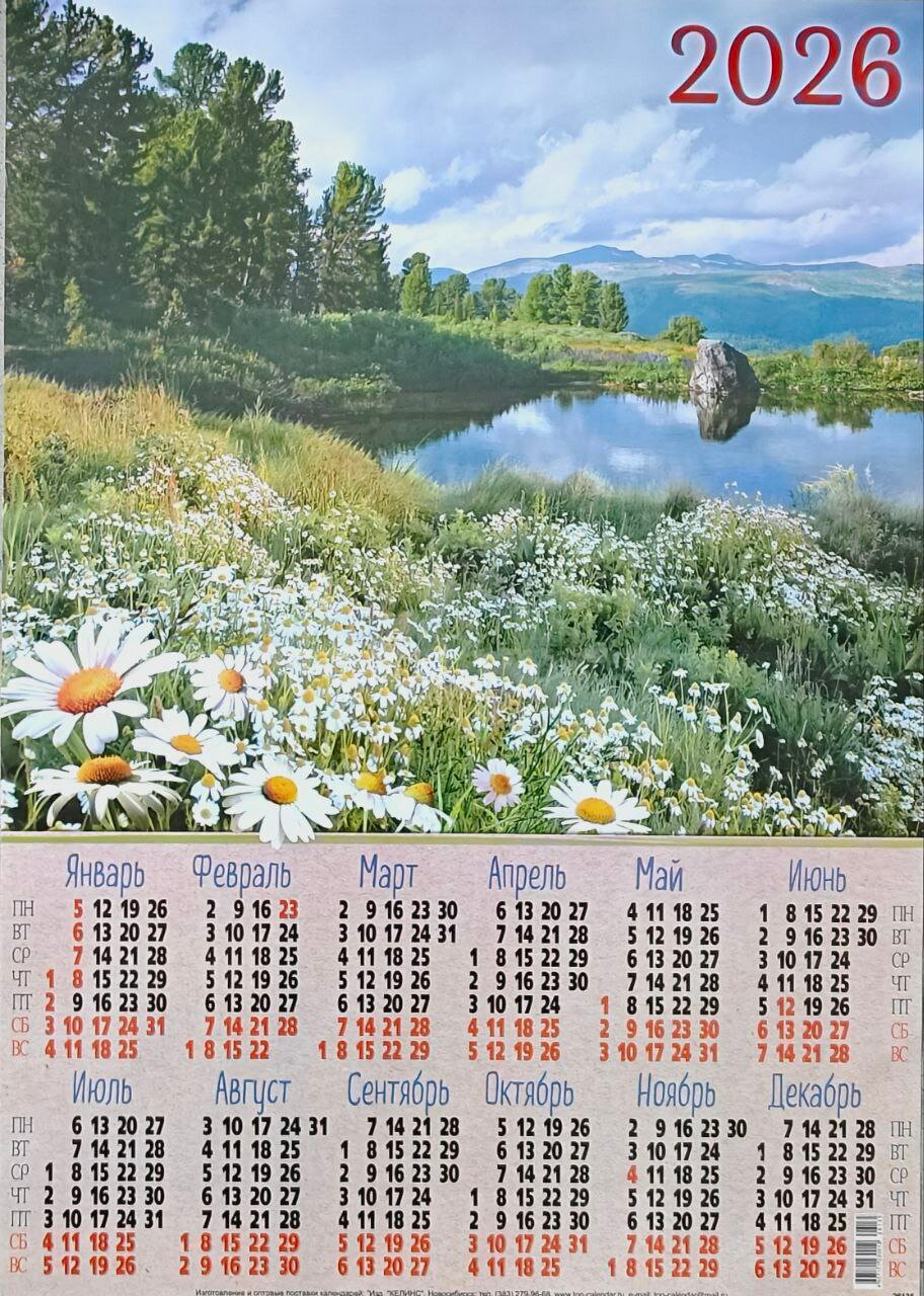 Календарь листовой 2026 год Ромашки у озера Уф-лак А2 Келинс 26135