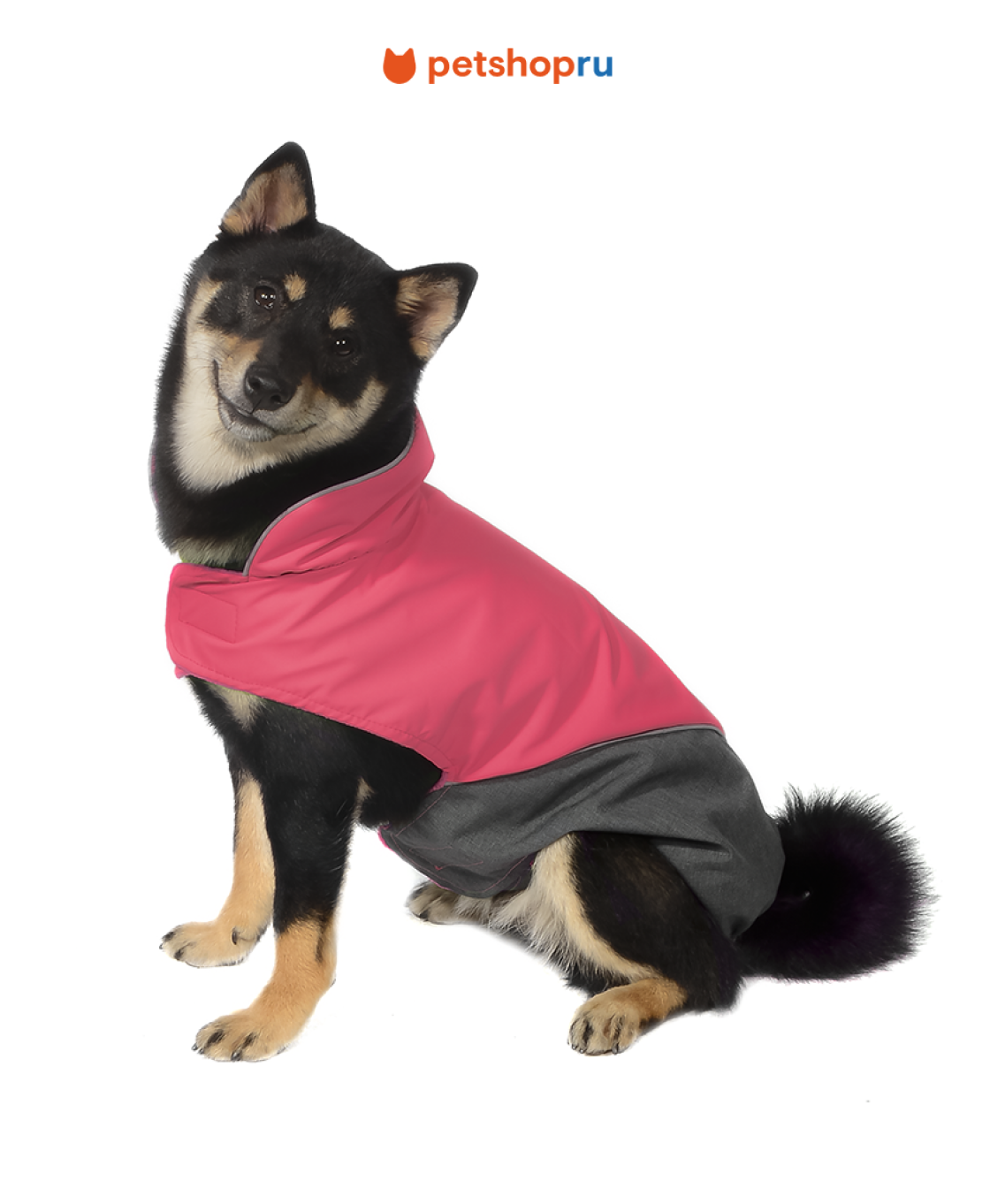 Tappi одежда Попона "Блант" розовая, размер XL, спинка 42 см