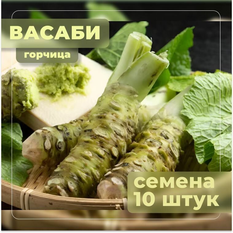 Горчица (сорт васаби), семена для выращивания 10 штук