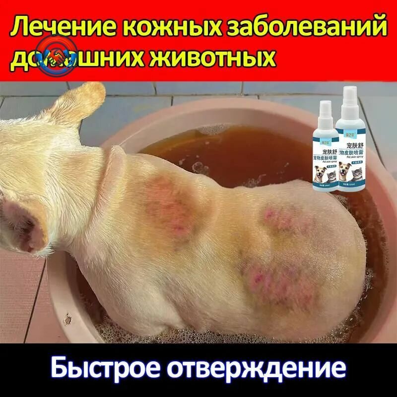 Спрей от стригущего лишая для кошек и собак AntiFung, противогрибковый уход за кожей питомца, 100 мл, подходит для котят и щенков с 3 месяцев