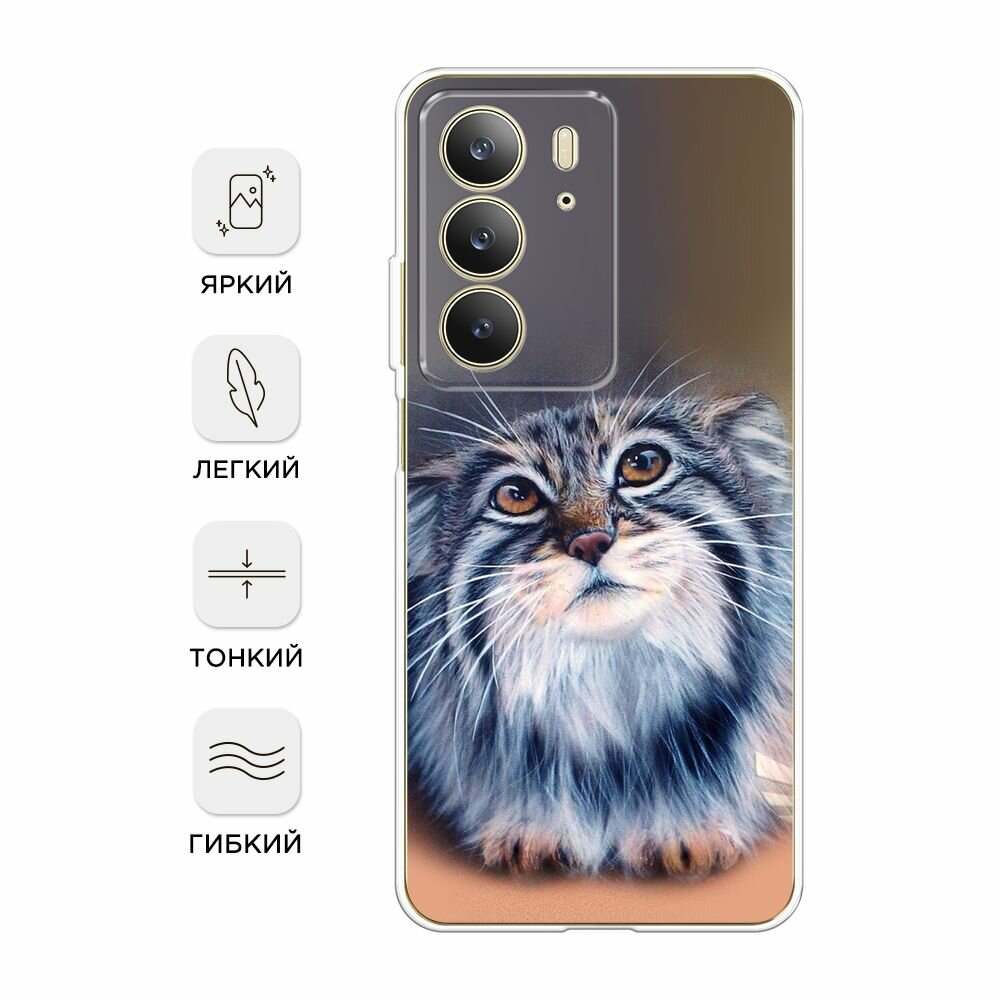 Чехол на Realme C75 4G / Реалми C75 4G с принтом "Кот манул 2" — фото 1