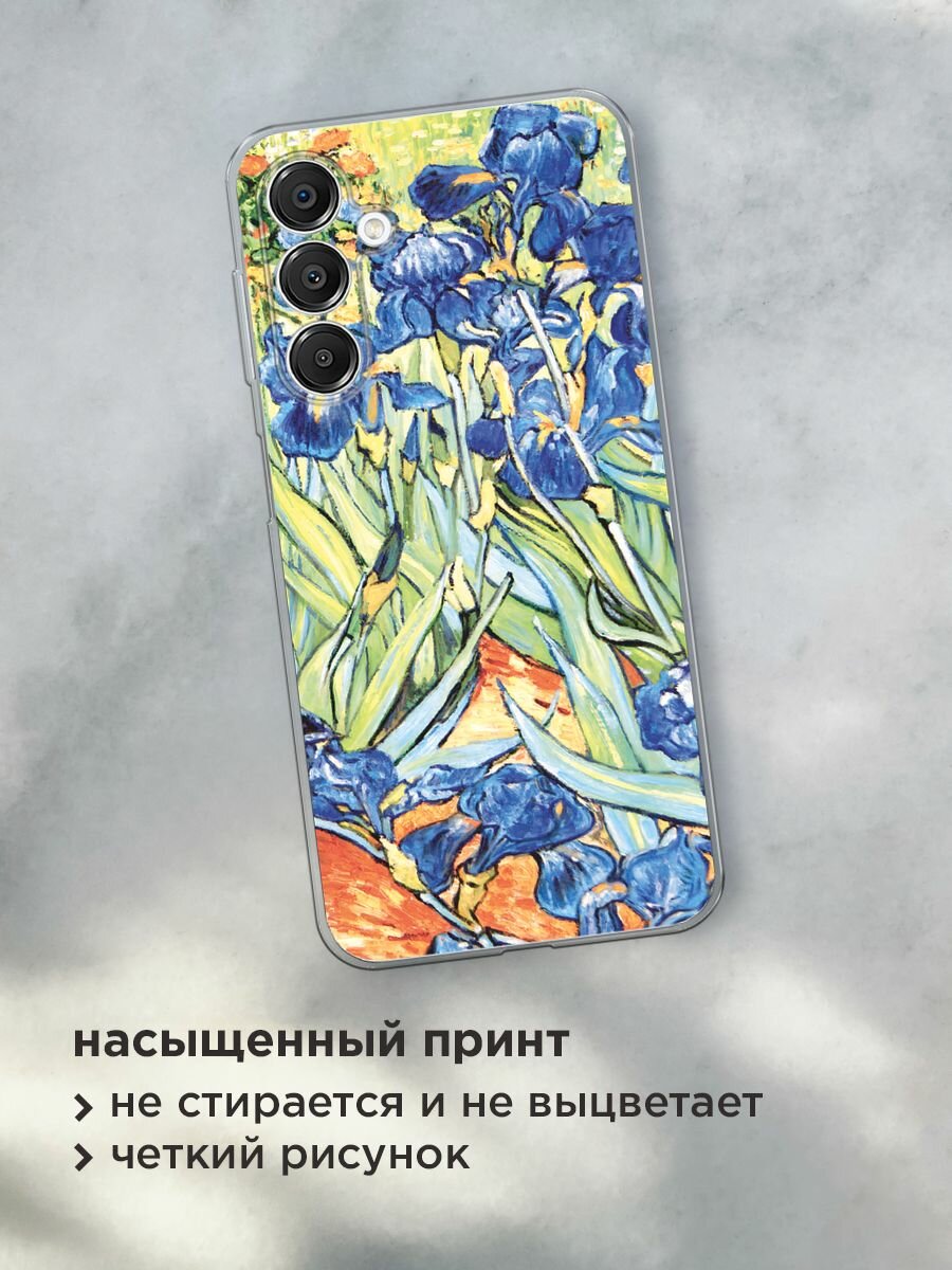 Чехол на Samsung Galaxy A16 / Самсунг А16 с принтом "Ирисы Ван Гог" — фото 1
