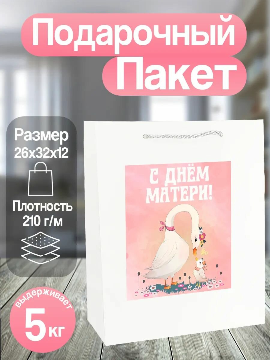 Подарочный пакет День матери, упаковка для подарка, 26х31 см