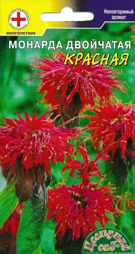Семена Монарда двойчатая Красная многолетник Цветущий Сад