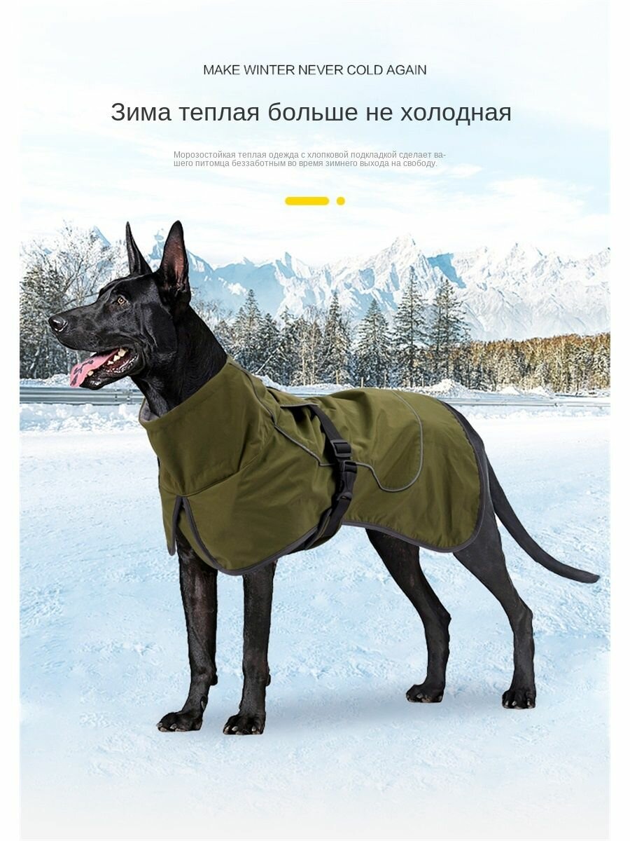 Одежда для животных — фото 1