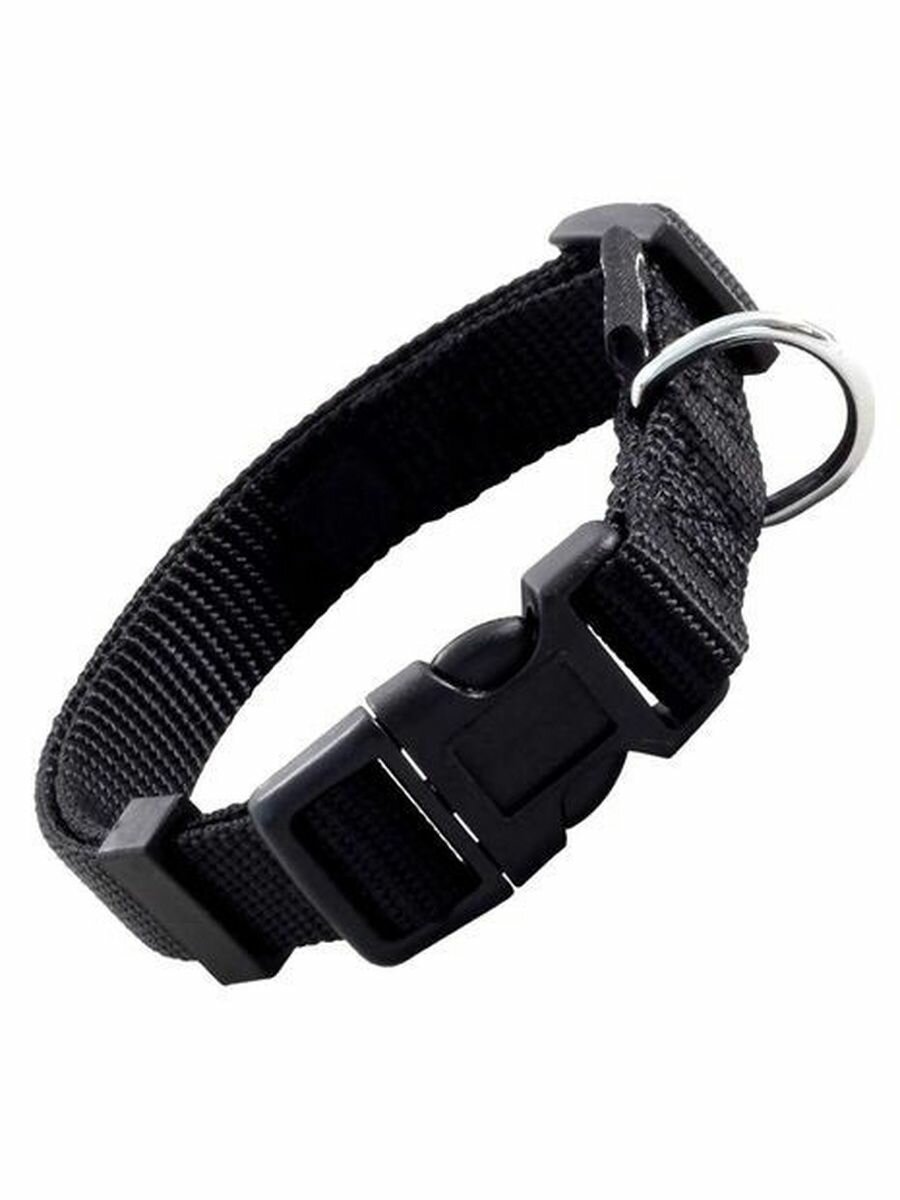 Ошейник для собак нейлоновый Стандарт, цвет черный, размер M