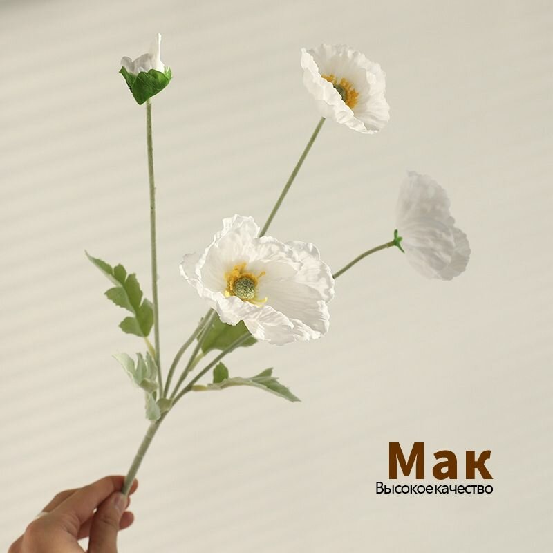 Стабилизированные цветы, Мак, 65 см, 5 стеблей