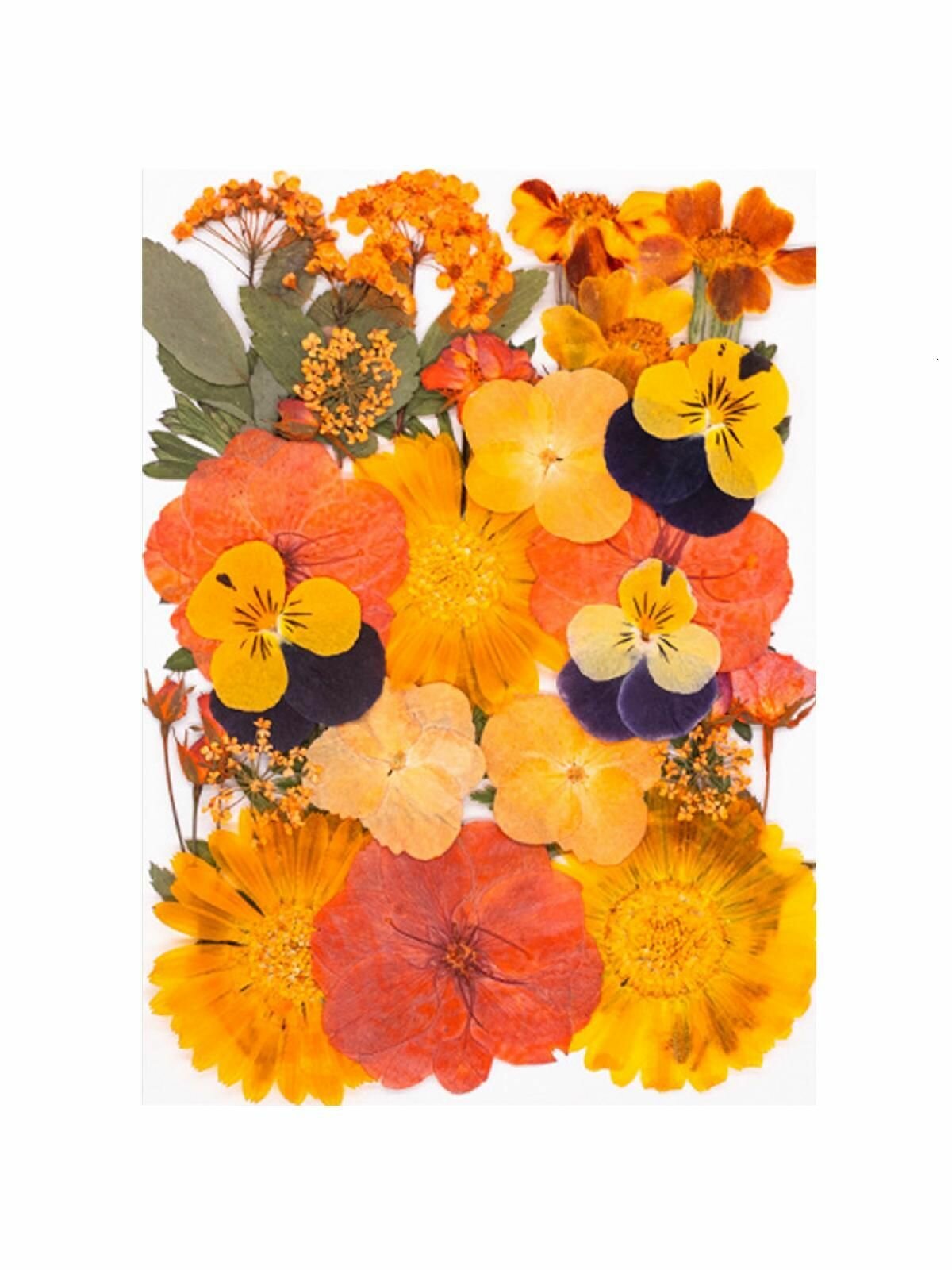 Стабилизированныецветы,1 упаковка из 30 штук, упаковка материалов для поделок из сушеных цветов серии Xiaoxia, лист с тиснением "вечный цветок"-тип D