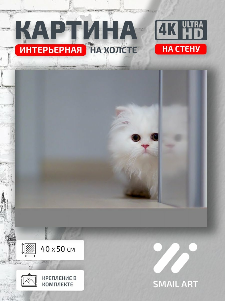 Картина на холсте интерьерная 40 на 50 на стену Уши Animal для детской animal style декор