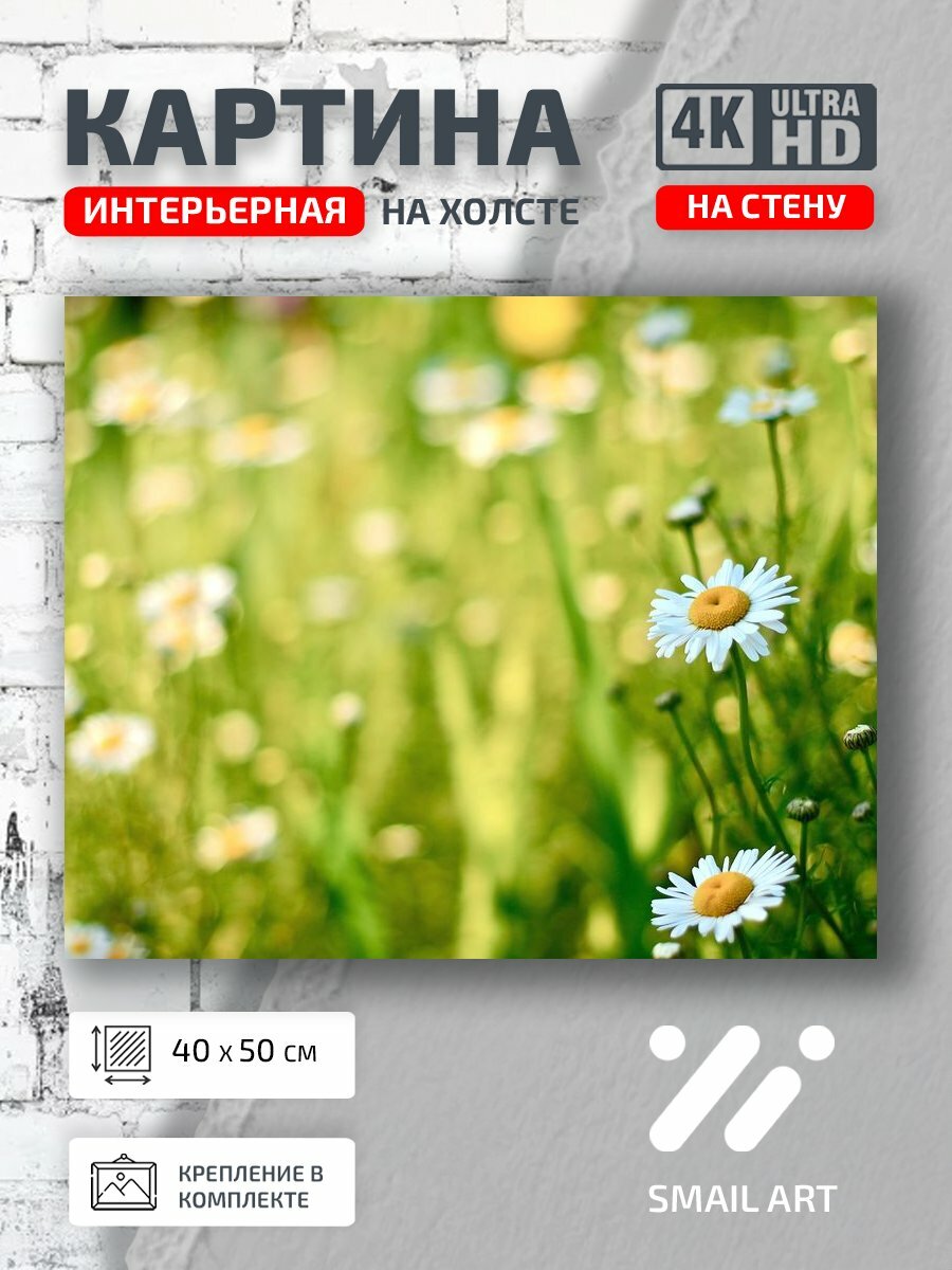 Картина на холсте интерьерная 40 на 50 на стену Поле Landscape для кафе пейзаж интерьер