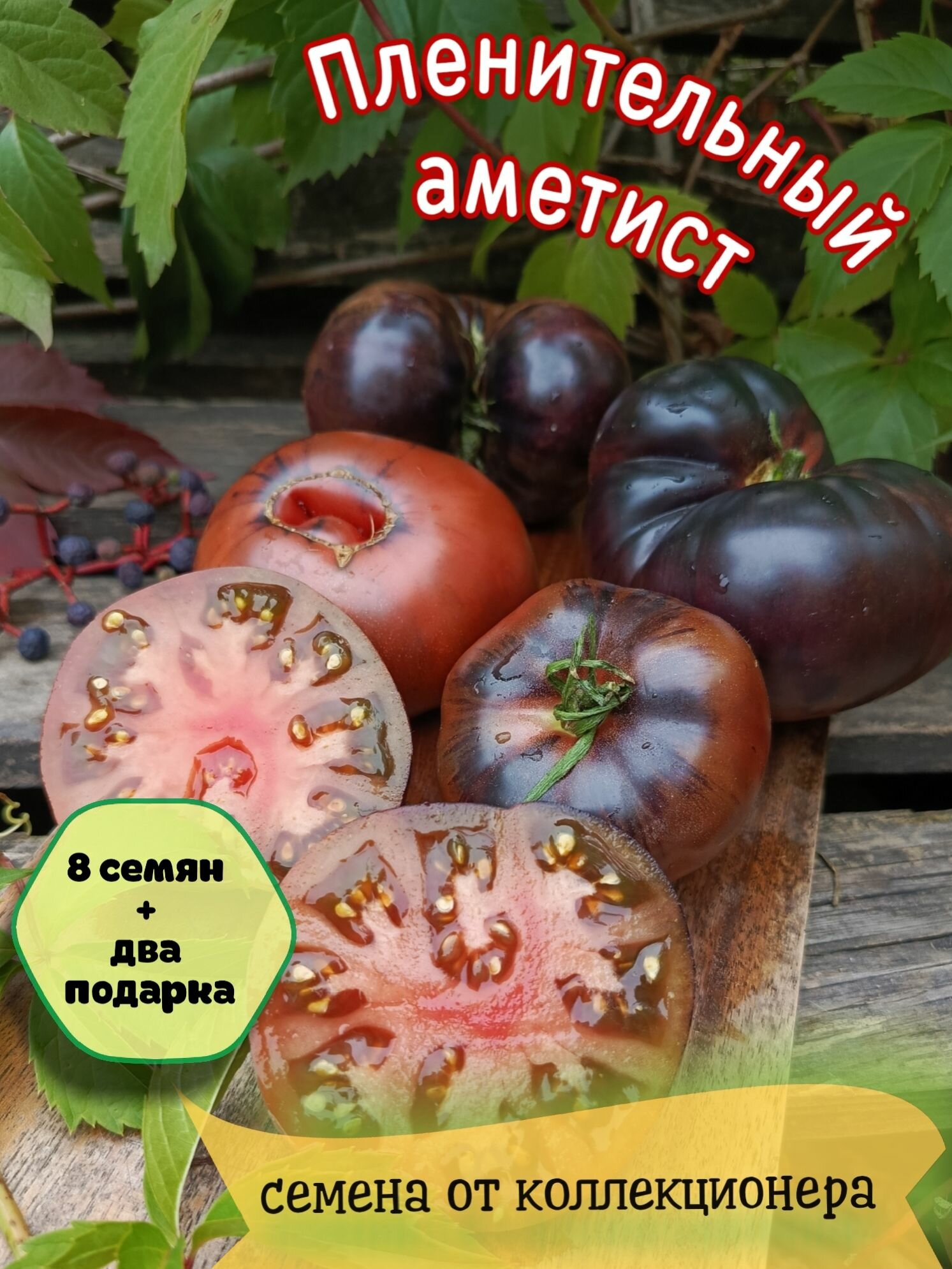 "Пленительный аметист", селекция Софии Сааковой, семена томатов