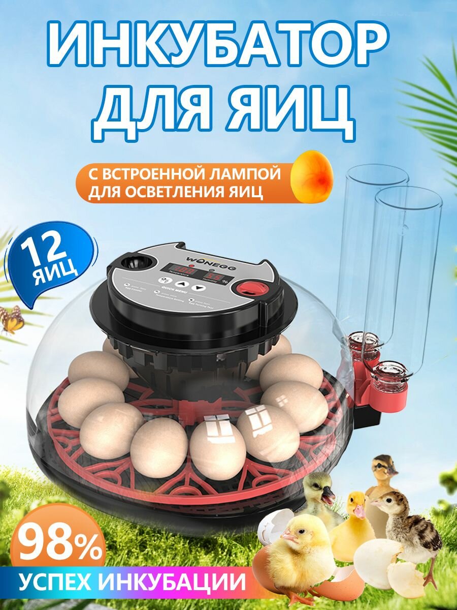 Инкубатор для яиц H12, автоматический переворот, питание от сети 220 В