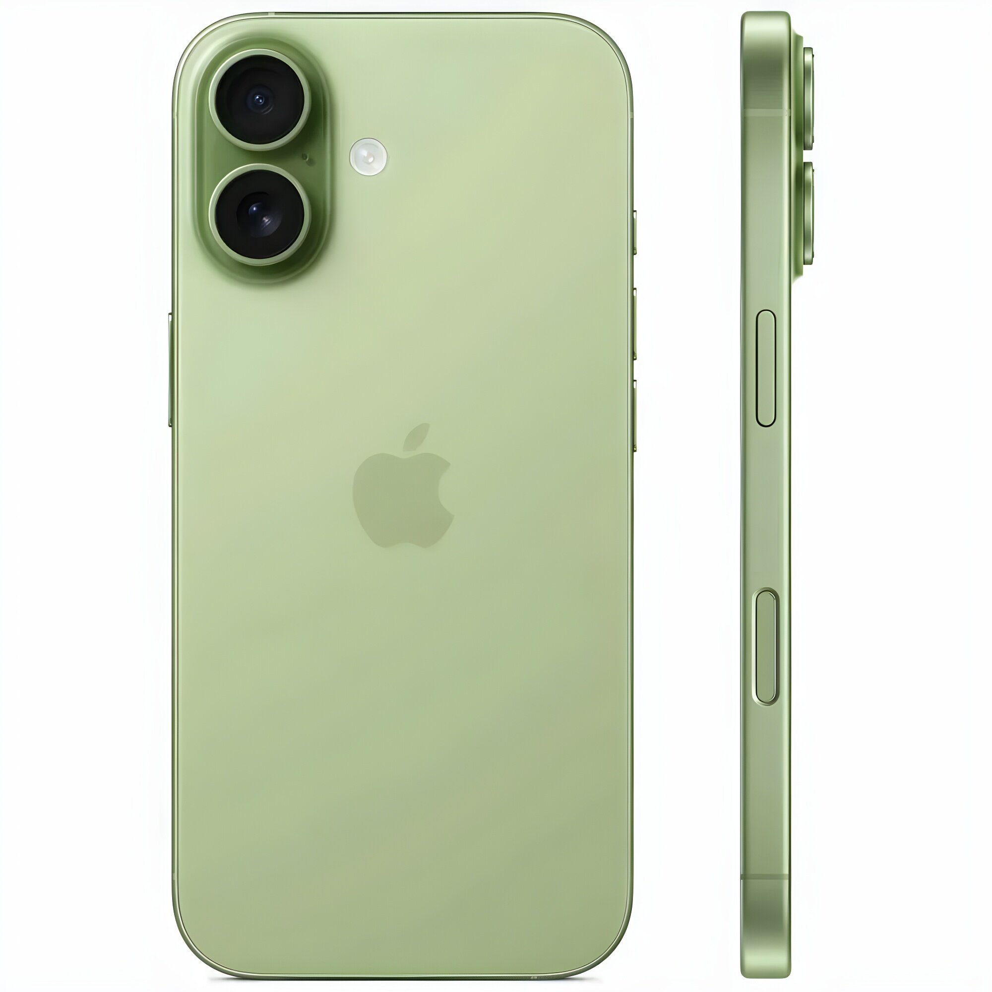 Смартфон Apple iPhone 17 512 ГБ Sage/Зеленый, Dual: 2 eSim(Только виртуальные СИМ-карты)