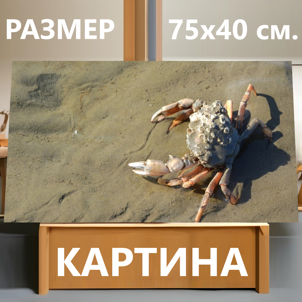 Картина на холсте "Краб, клешни, брачюра" на подрамнике 75х40 см. для интерьера
