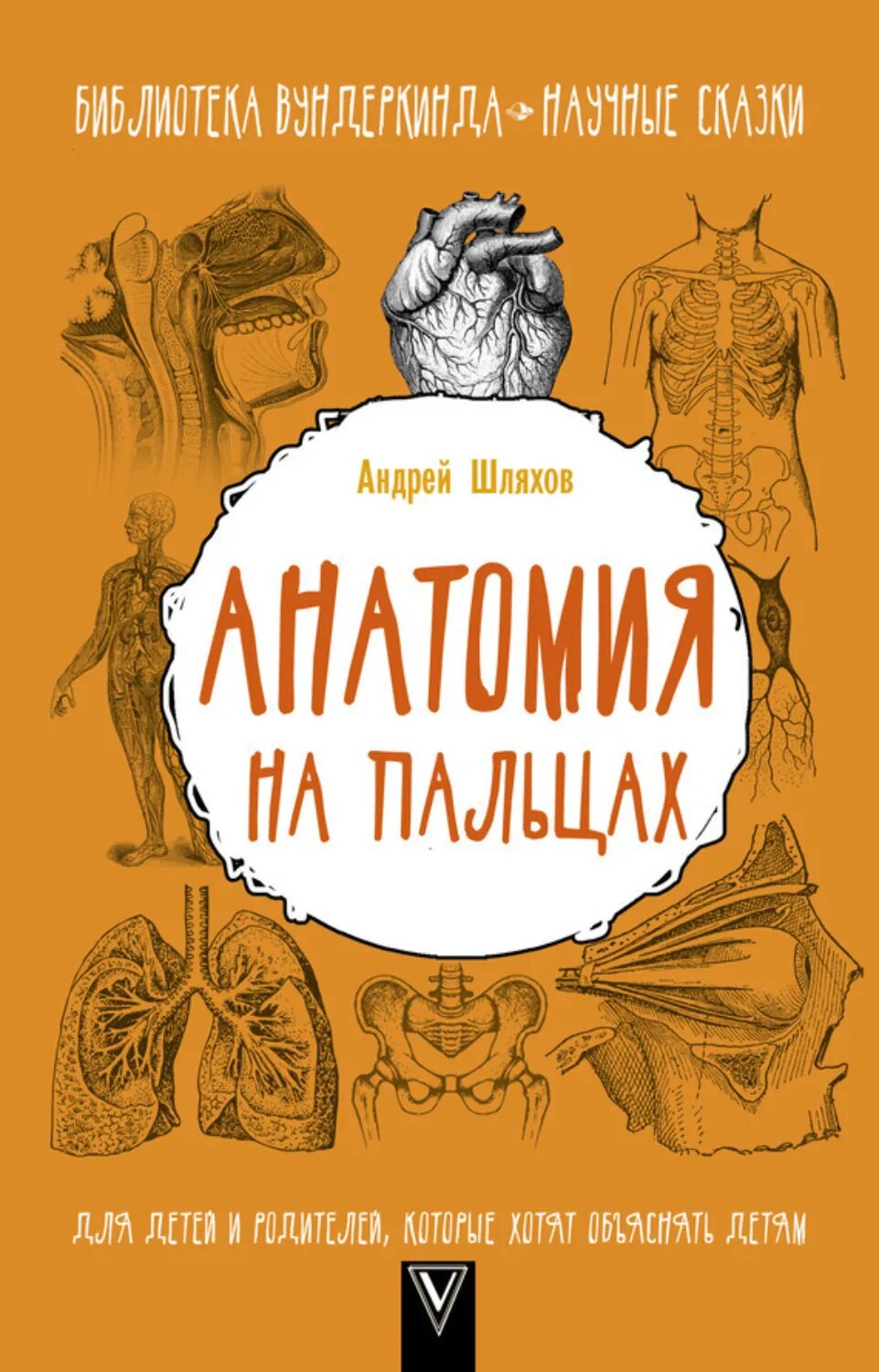 Анатомия на пальцах. Для детей и родителей, которые хотят объяснять детям [Цифровая книга]