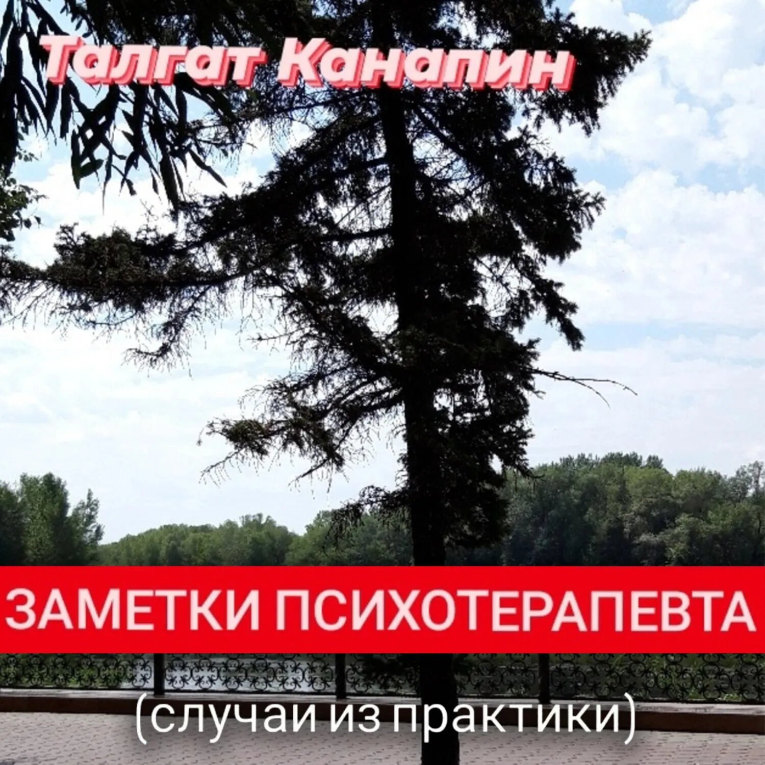 Заметки психотерапевта [Аудиокнига]