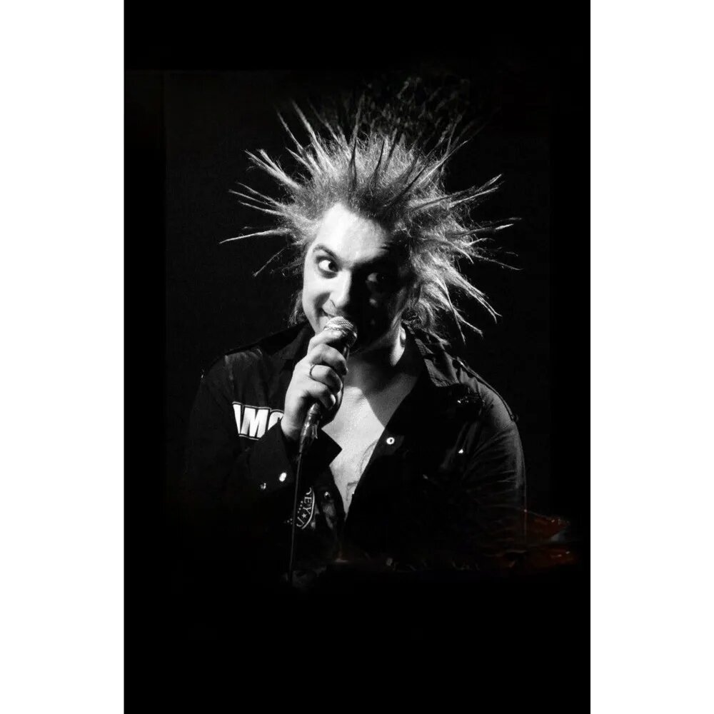 Алмазная Мозаика "Король И Шут" 30х40 См Алмазная Вышивка / Картина Стразами Подарков / Украшения