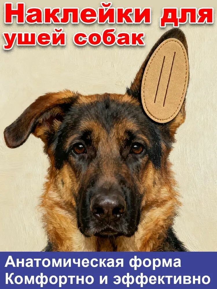 Пластыри для постановки ушей, корректирующие накладки для поднятия ушей у собак безопасные для ушного хряща.