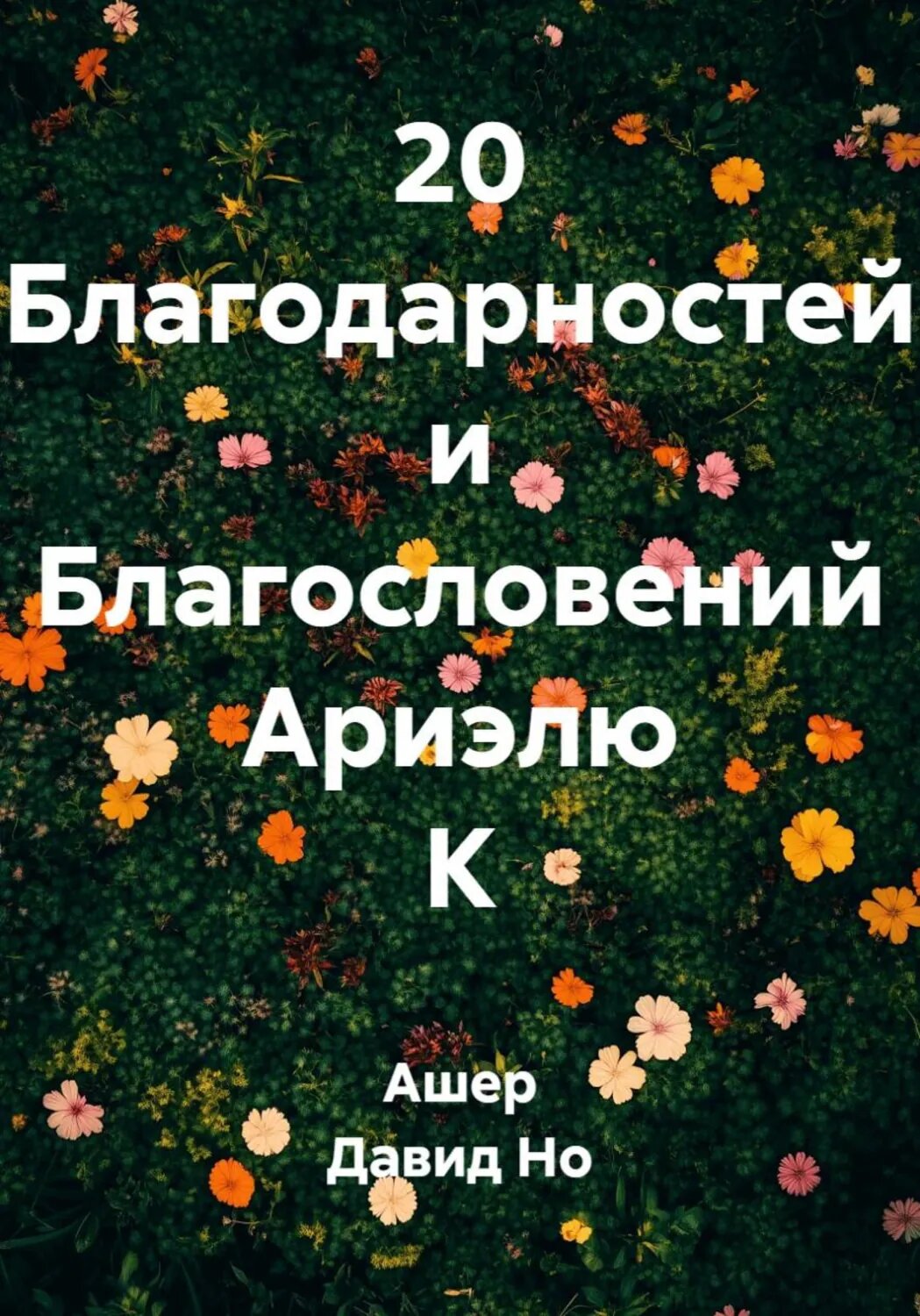 20 Благодарностей и Благословений Ариэлю К [Цифровая книга]
