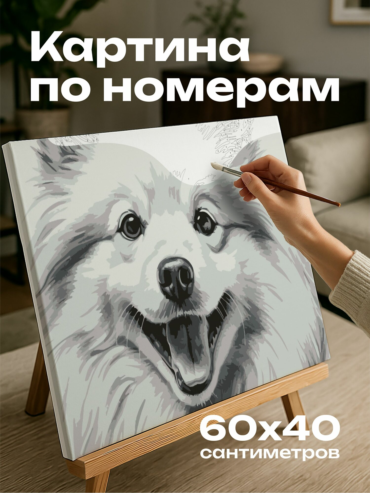 Картина по номерам 60x40 см, карандашный набросок, собака, порода шпиц, индивидуальность, умный взгляд, растушевка