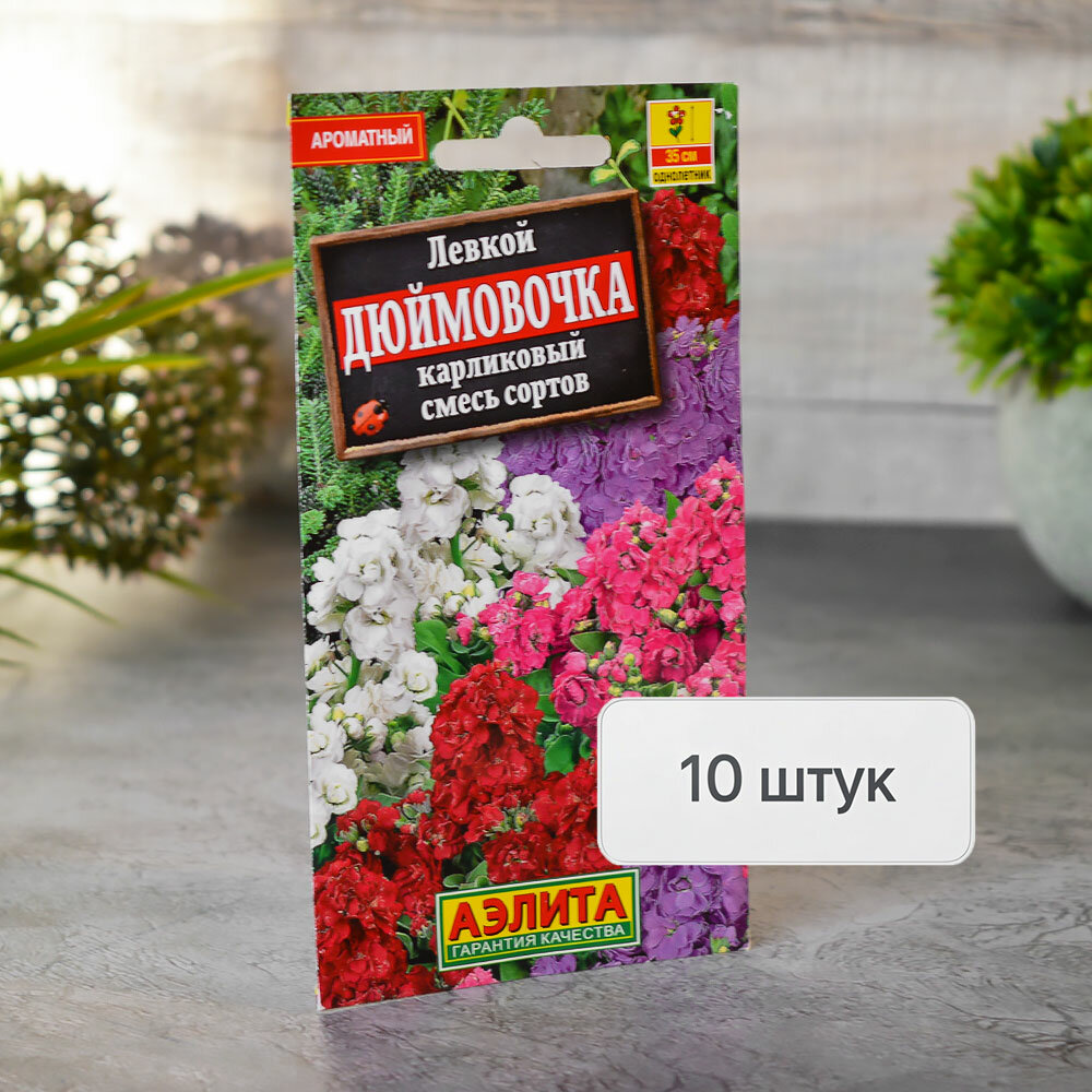 Левкой дюймовочка карликовый, смесь сортов, ароматный однолетник 35 см, набор 10 шт