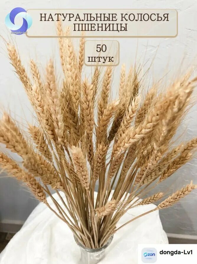 Сухоцветы Пшеница, 50 см, 120 гр, 50 шт