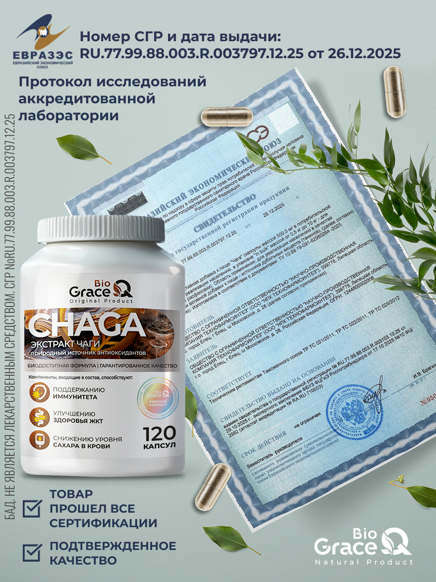 Чага экстракт GraceBioQ / Чага в капсулах для кишечника и детокса / Витамины для ЖКТ, 120 капсул — фото 1