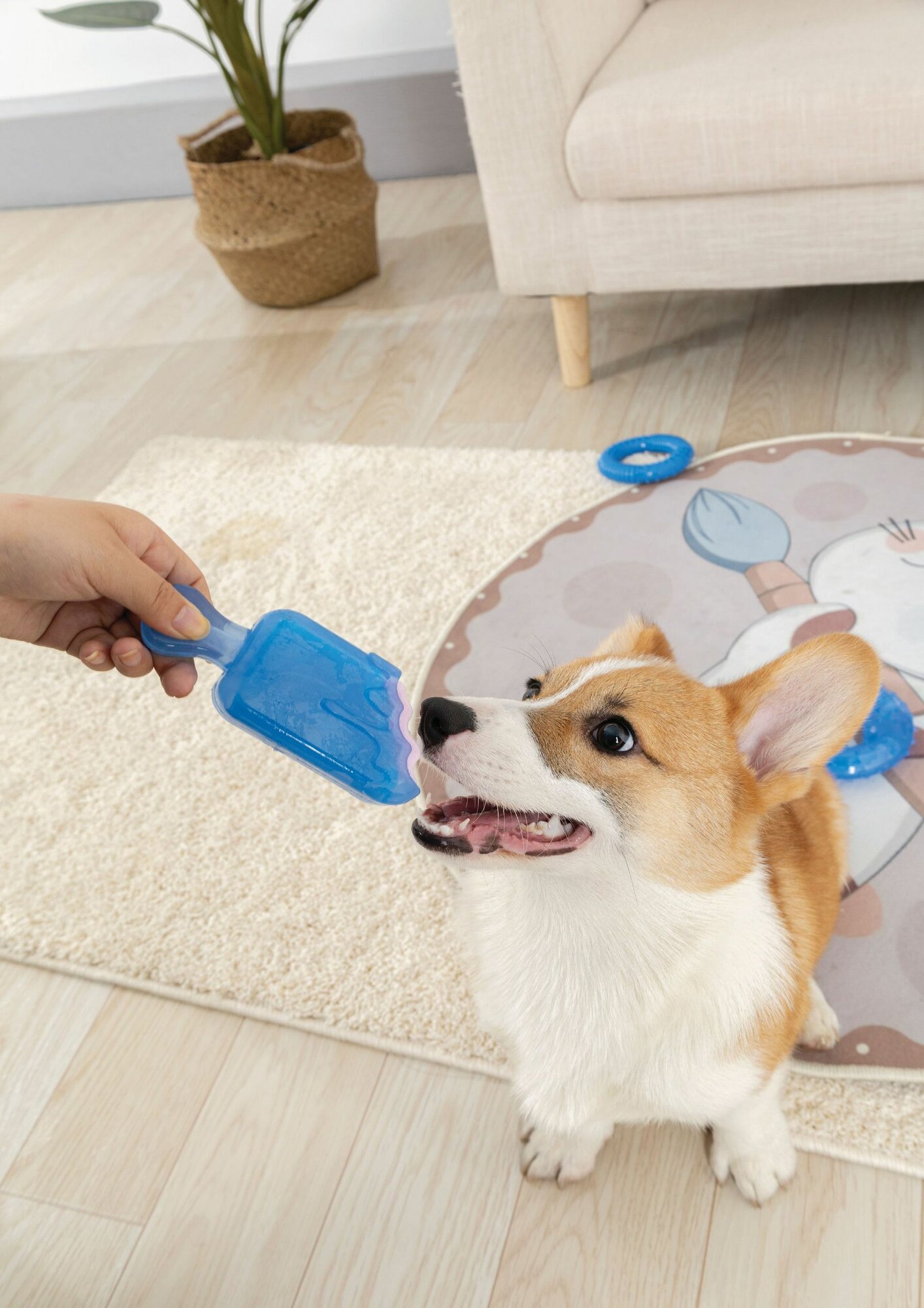 M-Pets 10644517 Игрушка для собак охлаждающая Эскимо 13.6x5.5x3.2 см