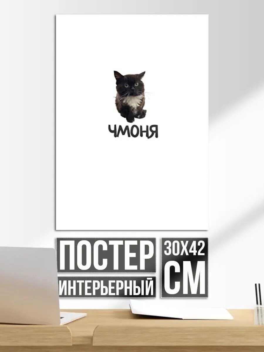 Постер на стену Кот чмоня мем