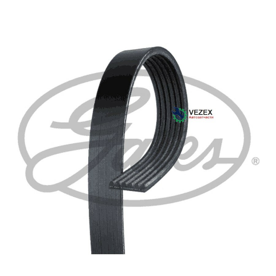 GATES 6PK1730 Поликлиновой ремень 6PK1730 (8653-10376)
