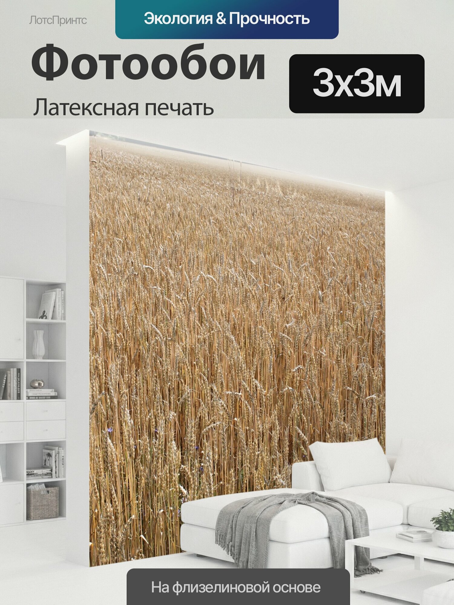Фотообои моющиеся ударопрочные "Кукурузное поле, пшеница, зерно" 300x300 см. латексная печать