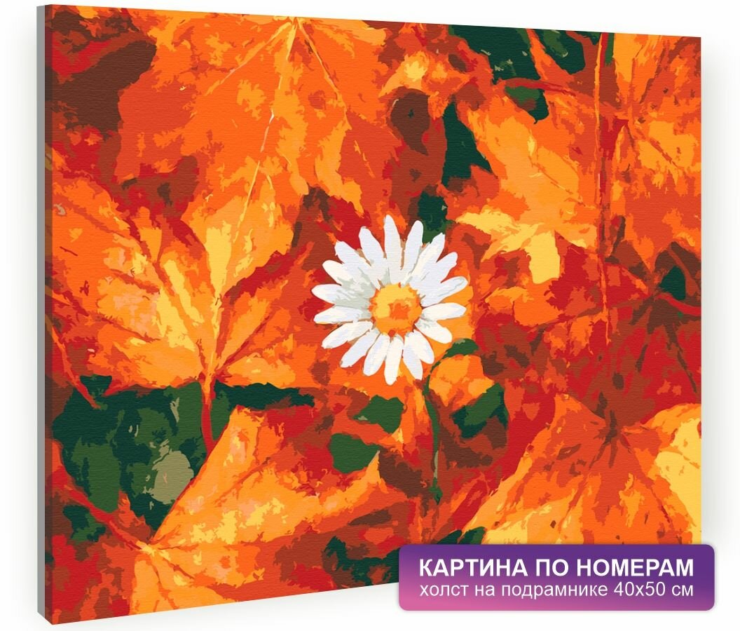 Картина по номерам на холсте с подрамником 40х50 см. Природа, горы, море, волны, пейзажи, небо, путешествия. "Осенняя ромашка", арт. 7955/