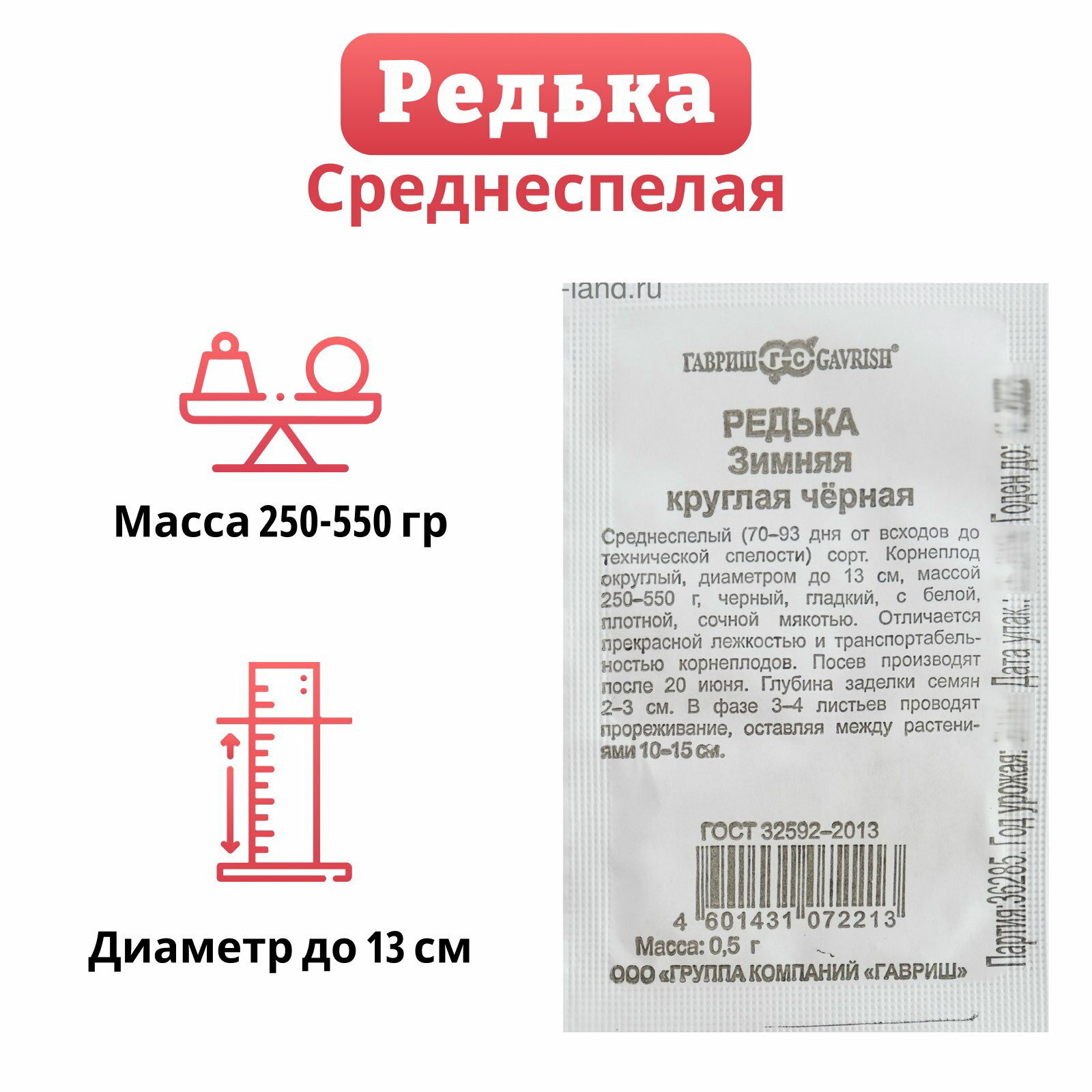 Семена Редька Зимняя круглая, чёрная, б/п, 0.5 г, цвет плода: чёрный, 10 шт.