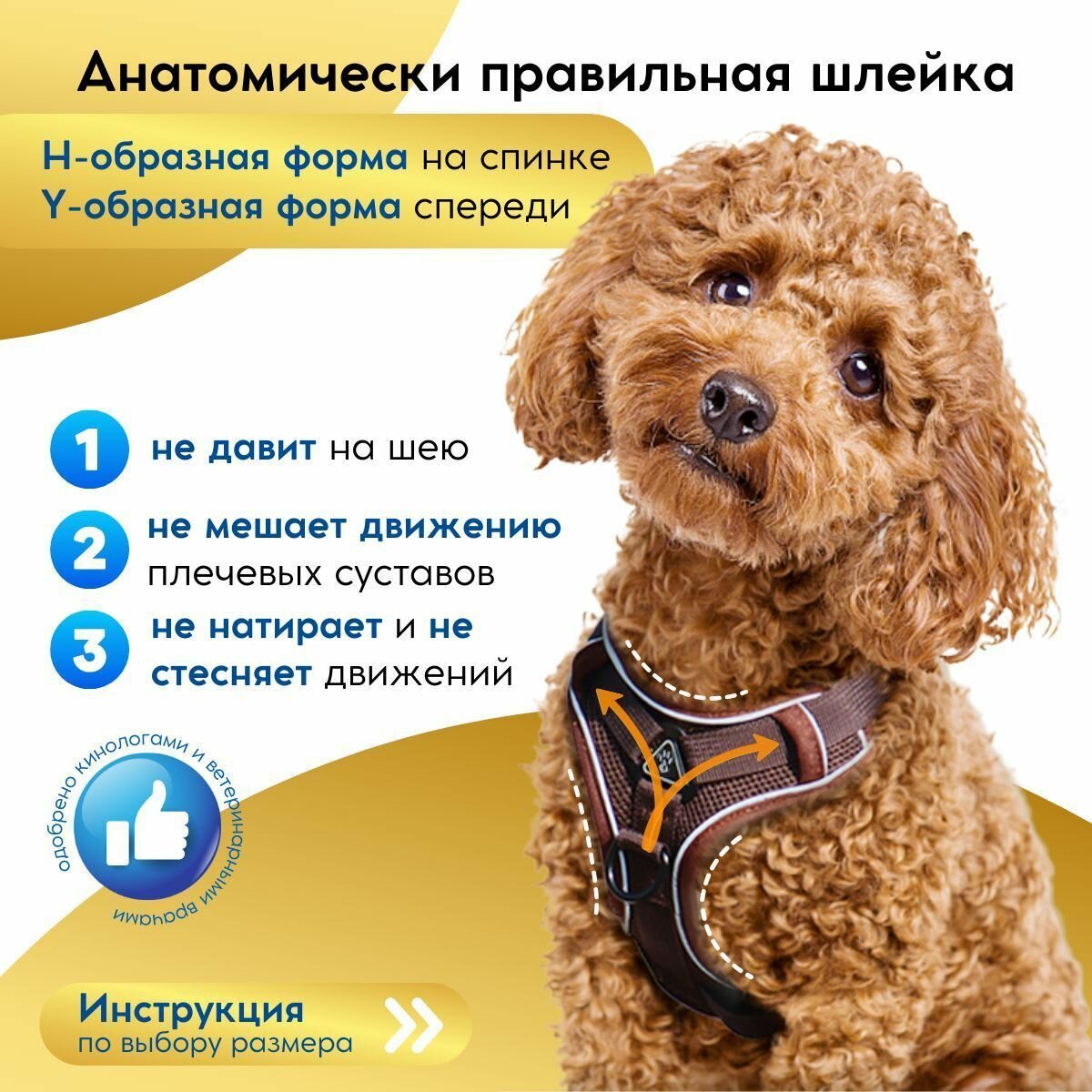 Шлейка SAVIPETS, неопрен, анатомическая, коричневая, 2 м, для собак