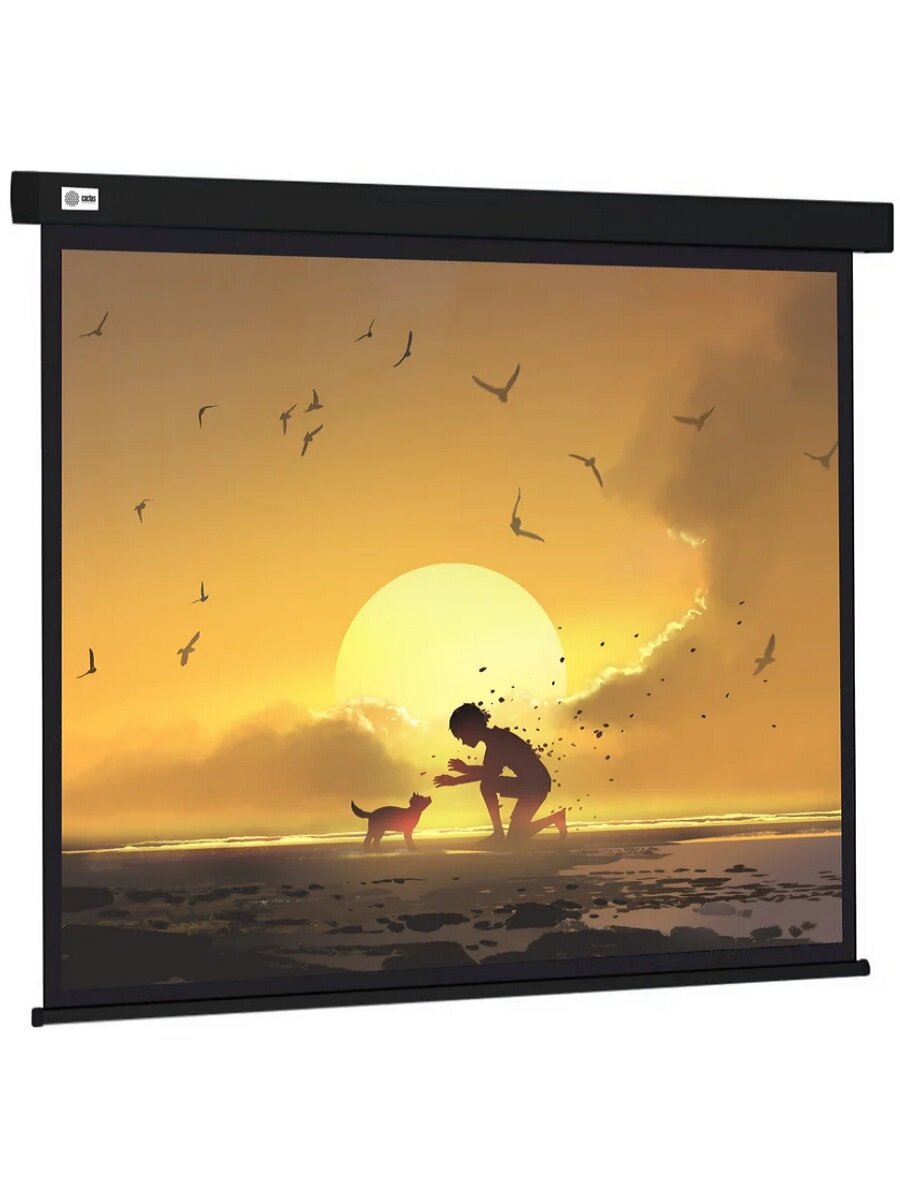 Экран Cactus CS-PSW-150X150-BK Wallscreen 1:1 настенно-потолочный рулонный черный