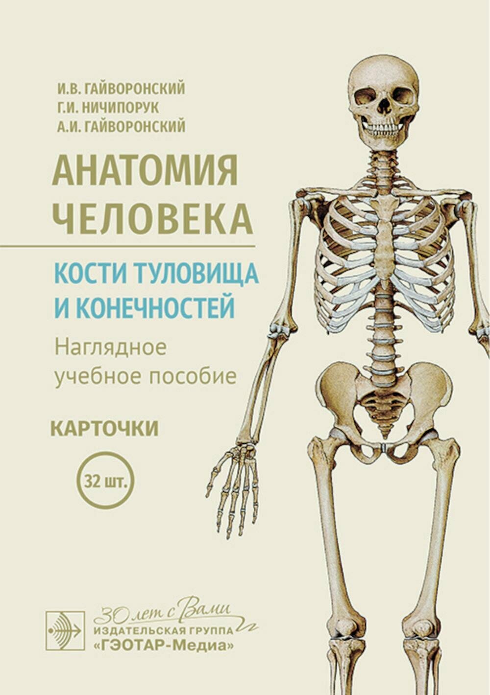 Анатомия человека. Кости туловища и конечностей. Карточки: Наглядное учебное пособие. Гайворонский А. И, Гайворонский И. В, Ничипорук Г. И. Гэотар-медиа
