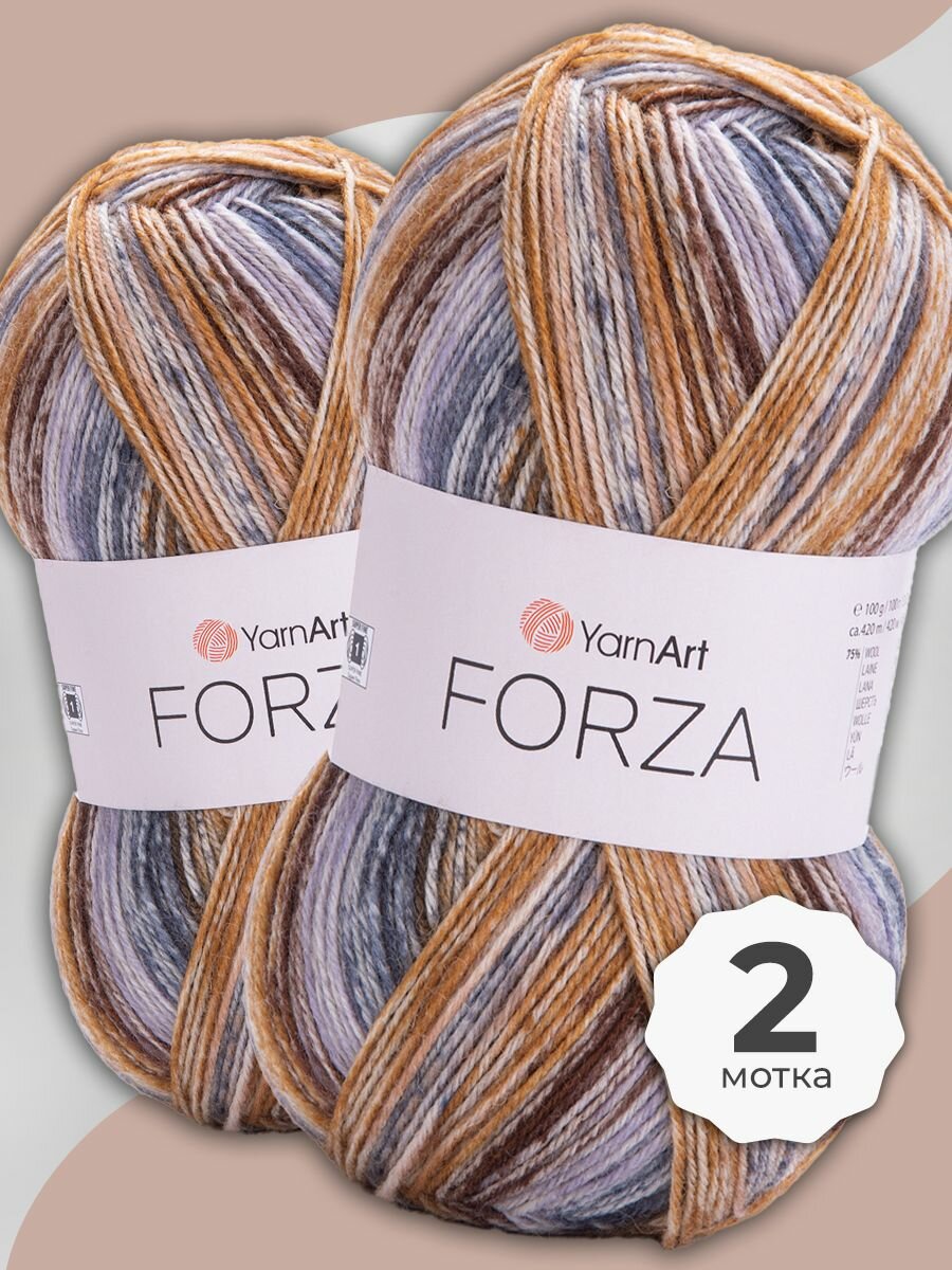 Пряжа для вязания YarnArt Forza носочная, 2 мотка, цвет 2605