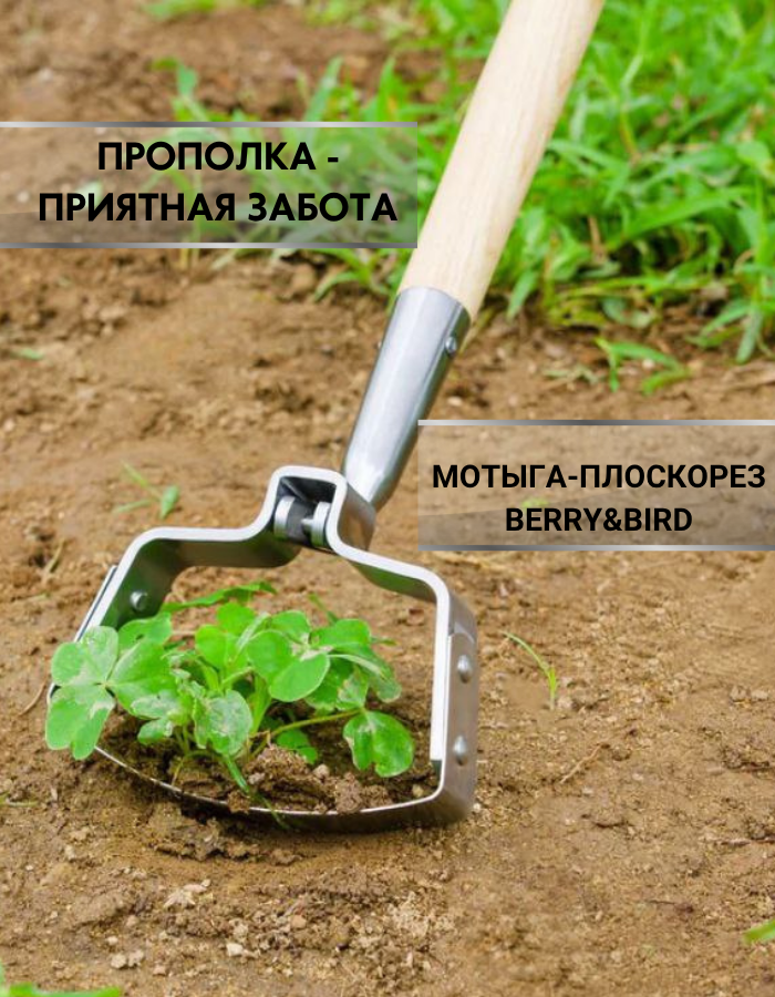 Мотыга маятниковая садовая, плоскорез тяпка с длинным черенком, Berry&Bird