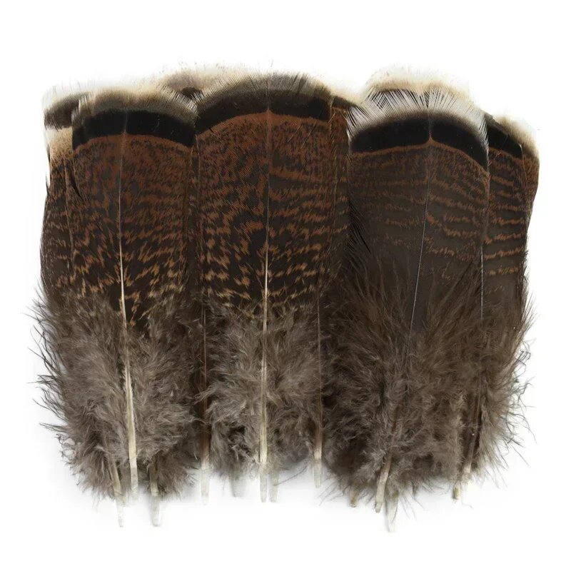 Перья фазана Xywae 10 шт.