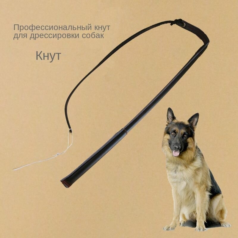 Плетка для дрессировки собак