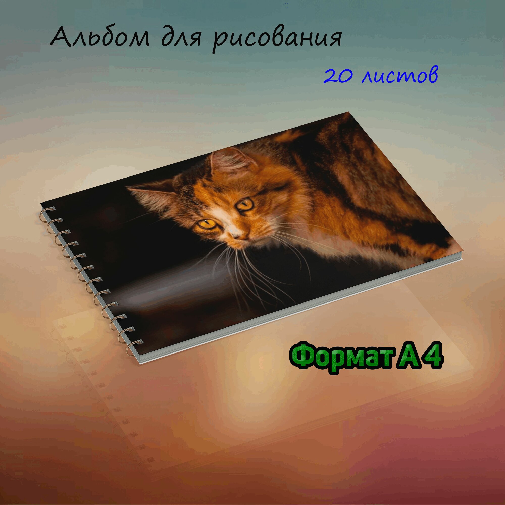 Альбом для рисования