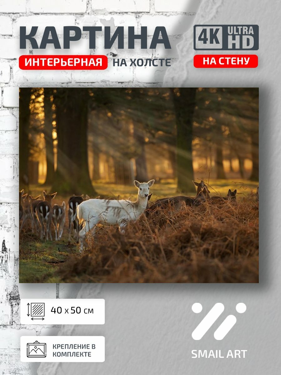 Картина на холсте интерьерная 40 на 50 на стену Олень deer для кабинета пейзаж интерьер