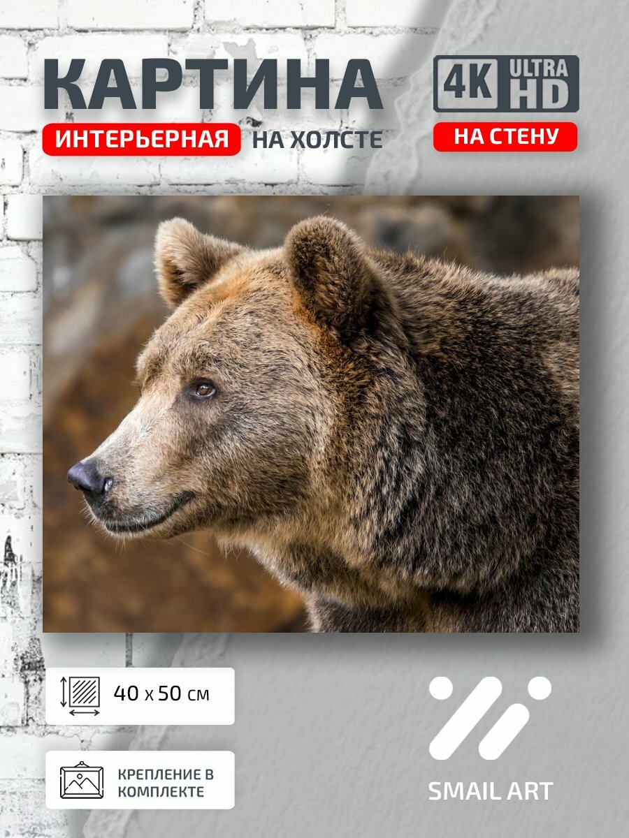 Картина на холсте интерьерная 40 на 50 на стену Уши Animal для кафе animal style интерьер