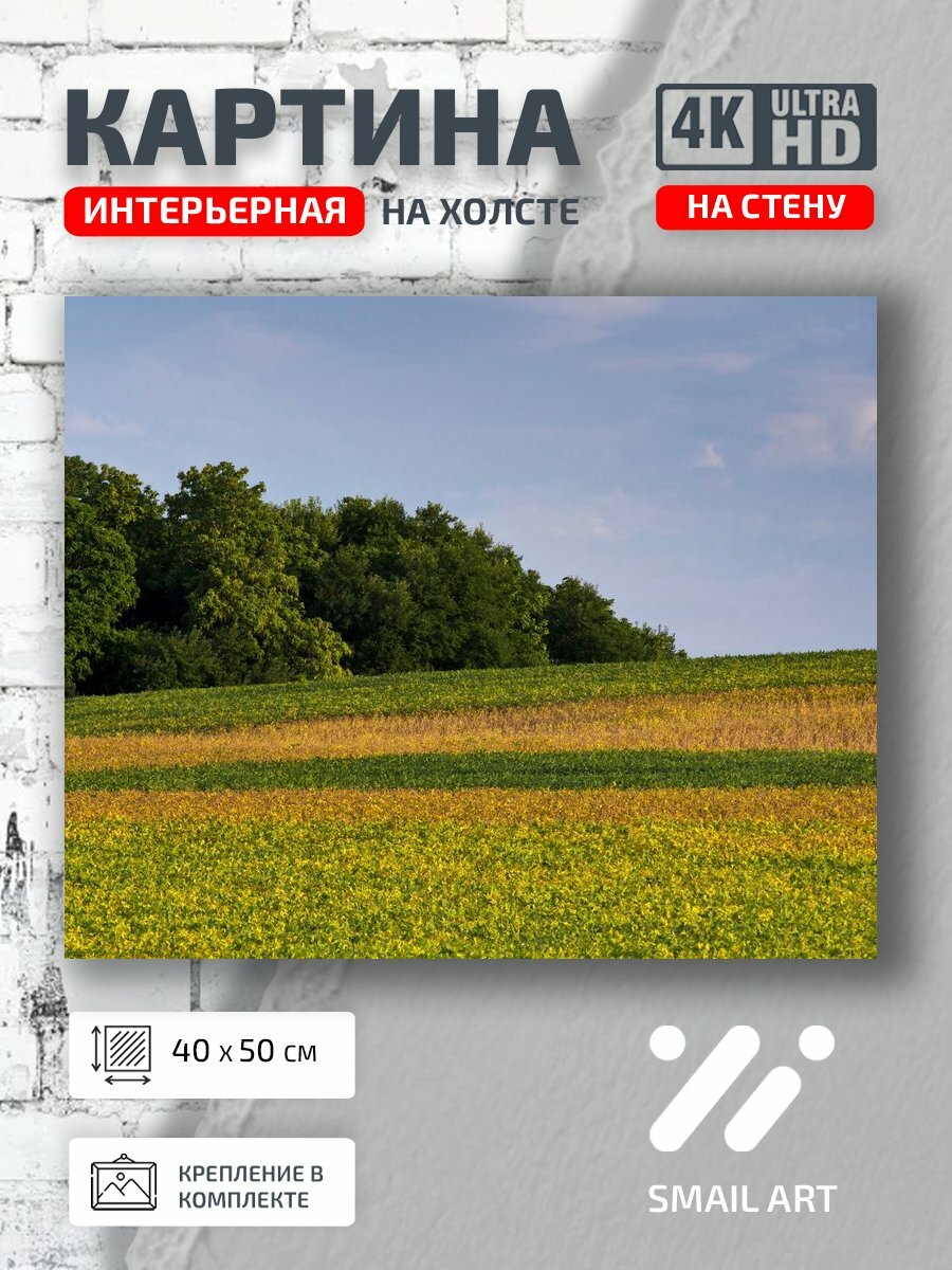 Картина на холсте интерьерная 40 на 50 на стену Лес forest для офиса пейзаж интерьер декор